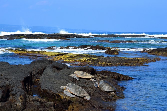 Hilo Shore Excursion: Volcanoes National Park and Rainbow Falls - An In-Depth Look at the Hilo Shore Excursion