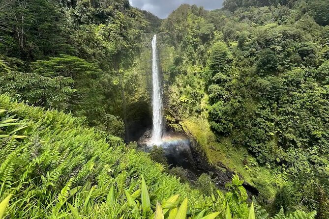 Hilo Waterfall Hike and Swim with Native Hawaiian - Final Thoughts