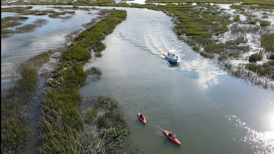 Hilton Head: 2 Hour Private Dolphin Tour - Key Points