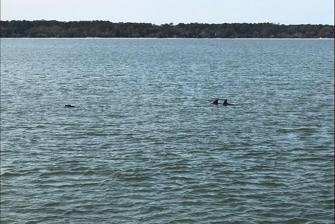 Hilton Head Crabbing Expedition Boat Cruise - The Experience Overview: What You Can Expect on the Tour  