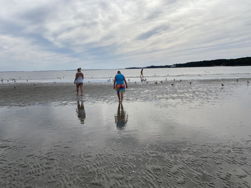 Hilton Head: Guided Disappearing Island Tour by Mini Boat - Potential Drawbacks or Considerations