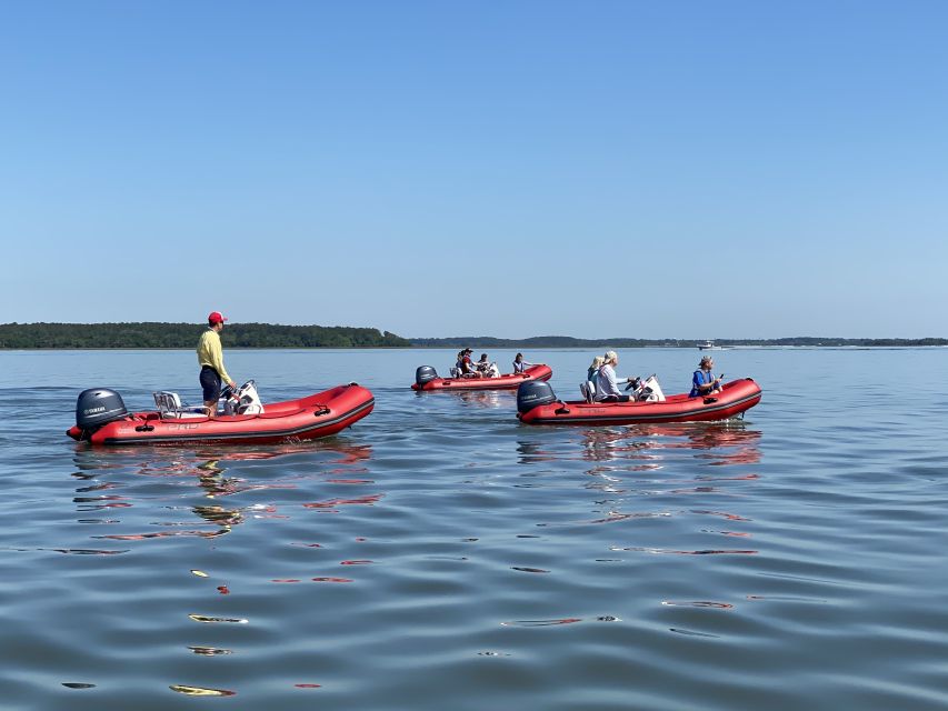 Hilton Head: Guided Disappearing Island Tour by Mini Boat - The Experience: From Start to Finish