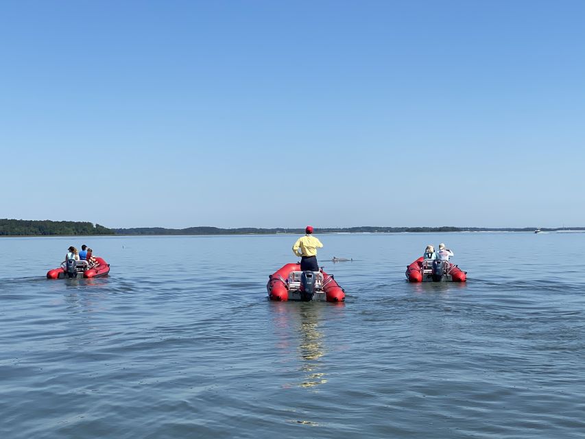 Hilton Head: Guided Disappearing Island Tour by Mini Boat - Pricing and Value