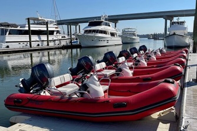 Hilton Head Guided Dolphin Watching & Sightseeing Tour via Mini Boat - The Experience: What Makes It Special