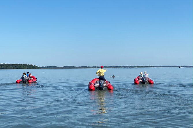 Hilton Head Guided Dolphin Watching & Sightseeing Tour via Mini Boat - The Sum Up: Who Will Love This Tour?