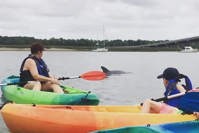 Hilton Head Guided Kayak Eco Tour - Why the Hilton Head Guided Kayak Eco Tour Might Be Just What You Need