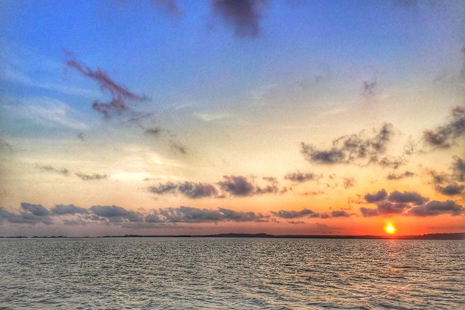 Hilton Head Guided Kayak Eco Tour - Final Thoughts