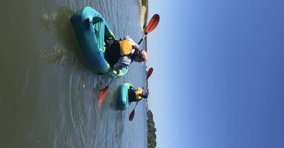 Hilton Head Island: 1.5-Hour Guided Small-Group Kayak Tour - Key Points