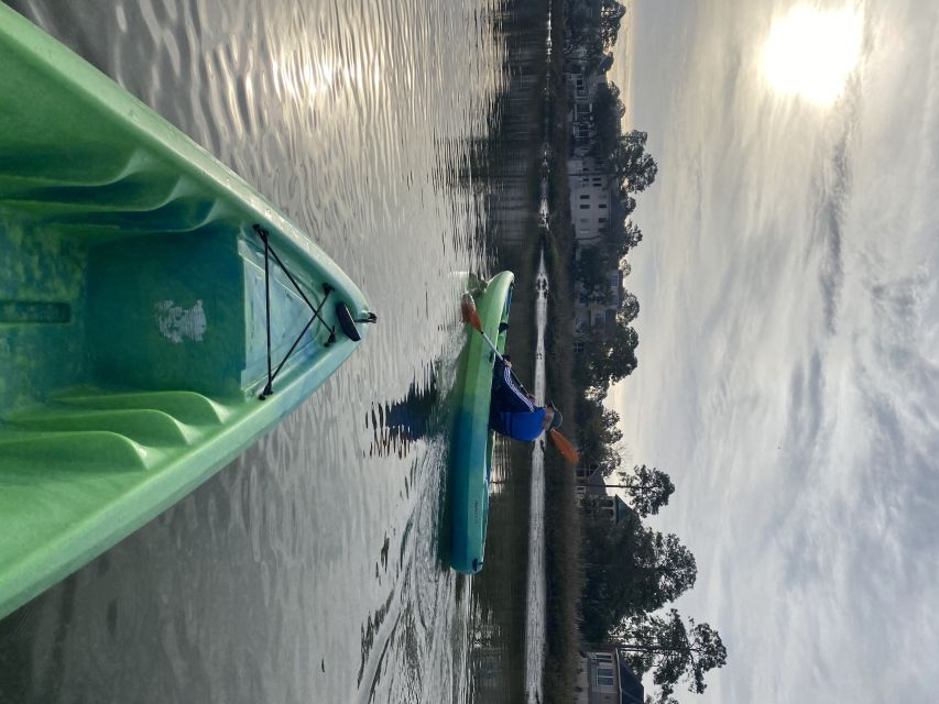 Hilton Head Island: 1.5-Hour Guided Small-Group Kayak Tour - The Experience in Detail: What to Expect from Your Kayak Tour