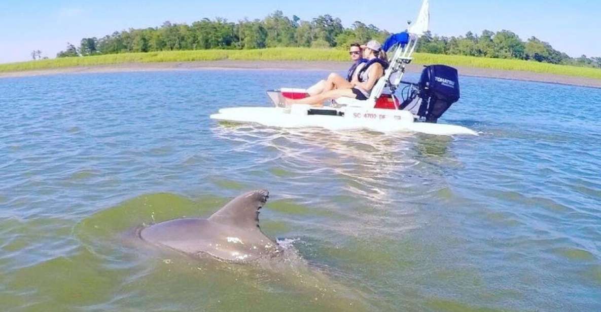 Hilton Head Island: 2-Hour Guided Creek Cat Tour - Authentic Experiences and Honest Review Insights
