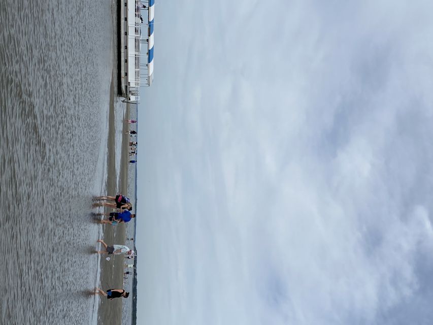 Hilton Head Island: Disappearing Island and Dolphin Tour - Discovering Hilton Head’s Waterways