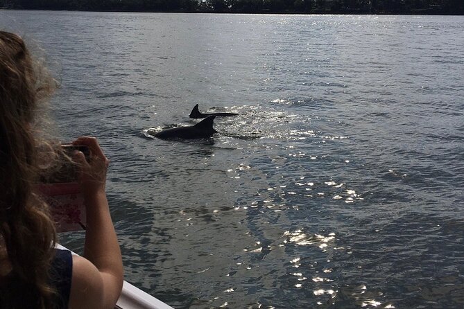 Hilton Head Island Dolphin Boat Cruise - FAQ