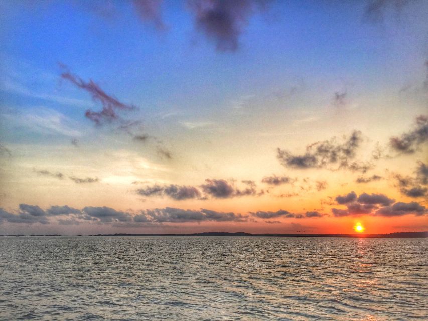 Hilton Head Island: Dolphin Tour at Sunset & Fireworks Show - A Closer Look at the Hilton Head Dolphin Sunset Tour