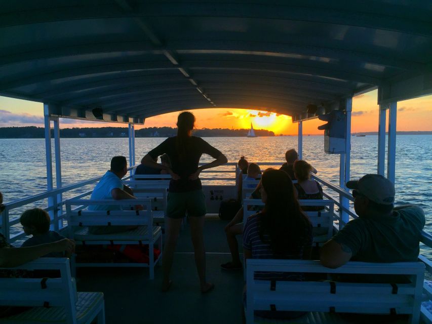 Hilton Head Island: Dolphin Tour at Sunset & Fireworks Show - The Sum Up: Who Will Love This Tour?
