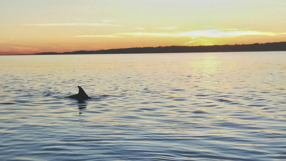 Hilton Head Island: Dolphin Watching 3-Course Dinner Cruise - Real Guest Insights and Tips