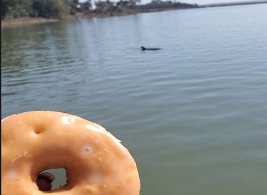 Hilton Head Island: Dolphin Watching Cruise with Donuts - Final Thoughts