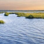 Hilton Head Island Dolphin Watching Nature Cruise - Who Should Consider This Tour?