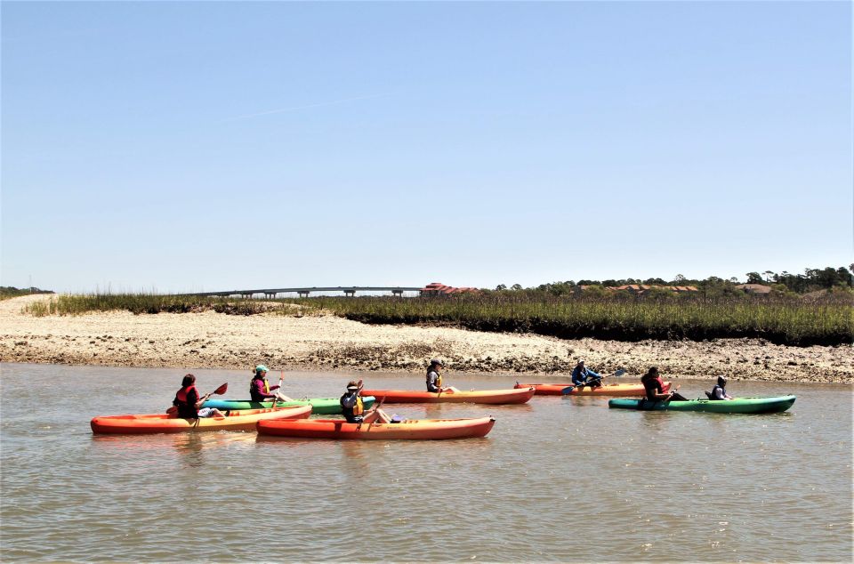 Hilton Head Island: Guided Kayak Tour with Coffee - Key Points
