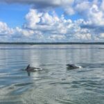 Hilton Head Island: Jet Ski Tour - The Real Value – More Than Just a Ride