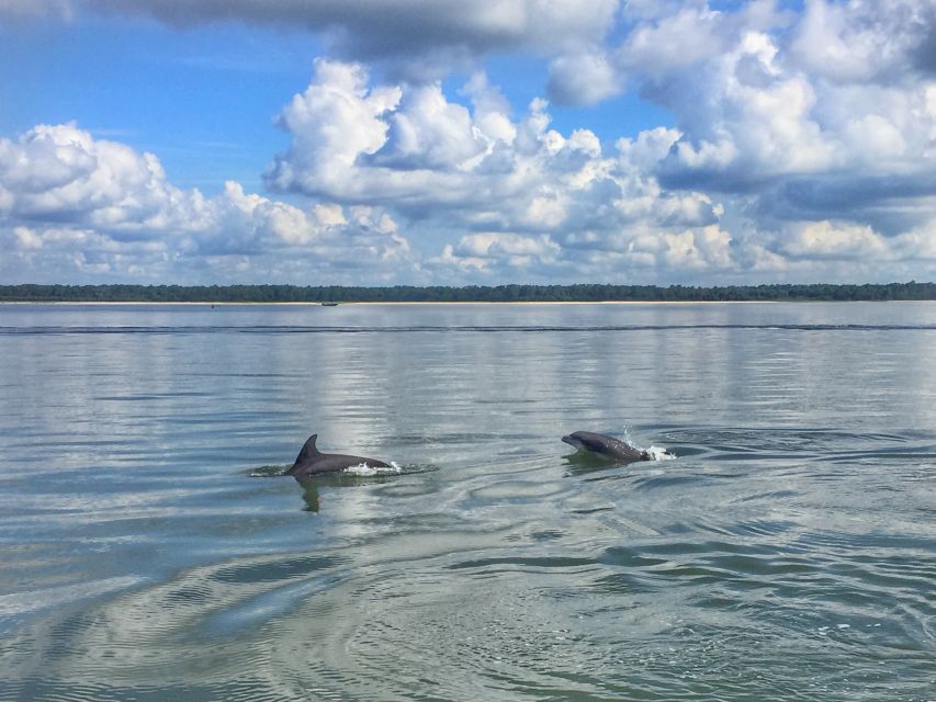 Hilton Head Island: Jet Ski Tour - The Real Value – More Than Just a Ride