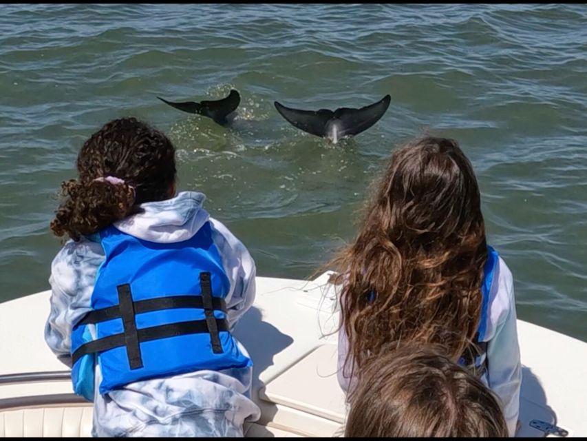 Hilton Head Island: Private Dolphin and Nature Tour - Authentic Experiences From Other Travelers