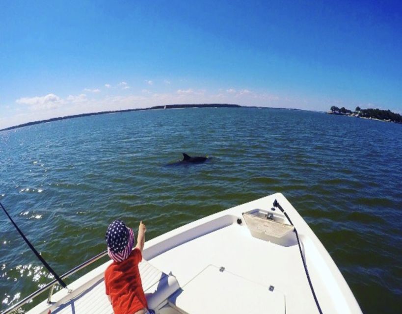 Hilton Head Island: Private Dolphin Watching Boat Tour - An In-Depth Look at the Hilton Head Dolphin Tour