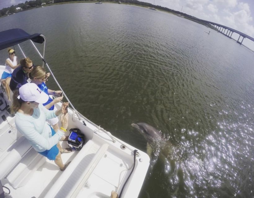 Hilton Head Island: Private Dolphin Watching Boat Tour - Finally, Who Is This Tour Best For?