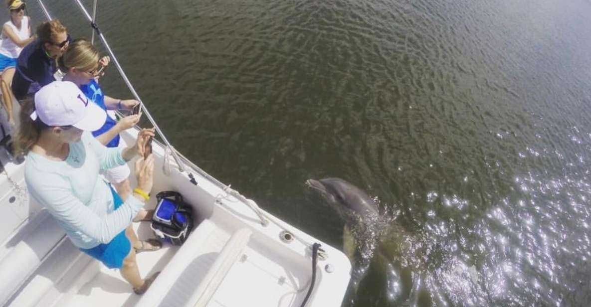 Hilton Head Island: Private Dolphin Watching Boat Tour - FAQ