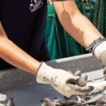Hilton Head Island: Shrimp Trawling Boat Tour - An In-Depth Look at the Hilton Head Shrimp Trawling Tour