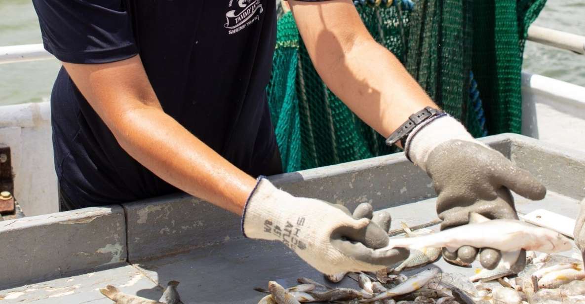 Hilton Head Island: Shrimp Trawling Boat Tour - An In-Depth Look at the Hilton Head Shrimp Trawling Tour