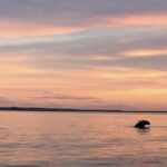 Hilton Head Island: Sunset Creek Cat Boat Tour - Who Will Love This Tour?
