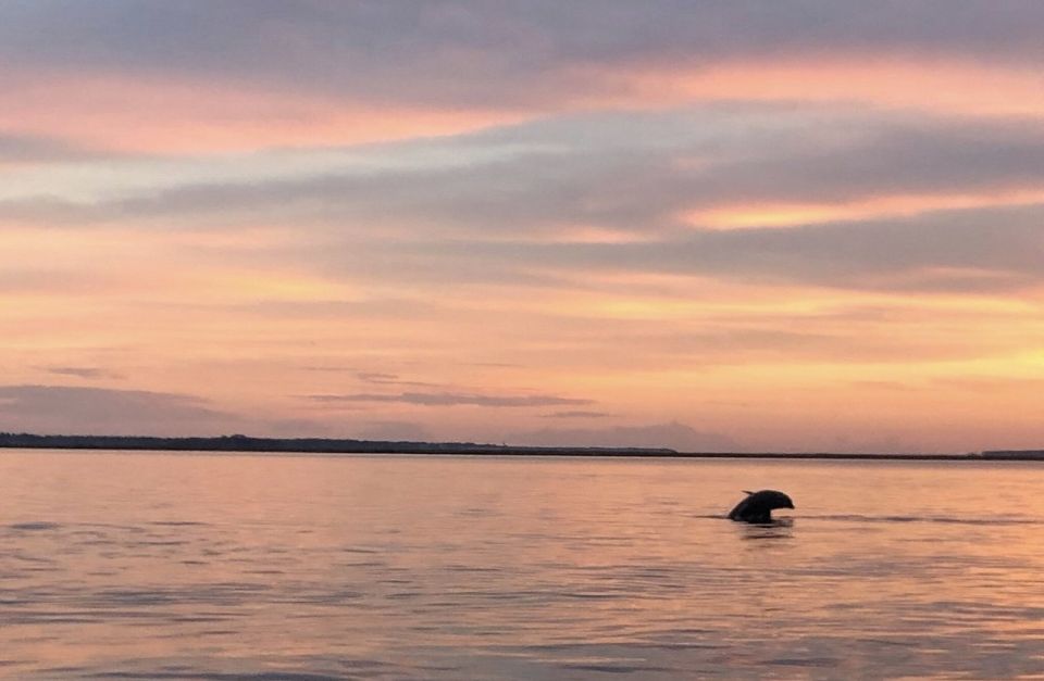 Hilton Head Island: Sunset Creek Cat Boat Tour - Who Will Love This Tour?