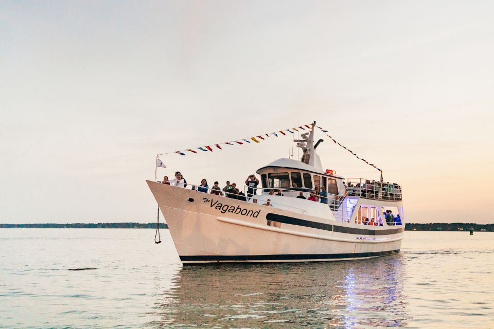 Hilton Head Island: Sunset Dolphin Cruise - A Deep Dive into the Sunset Dolphin Cruise