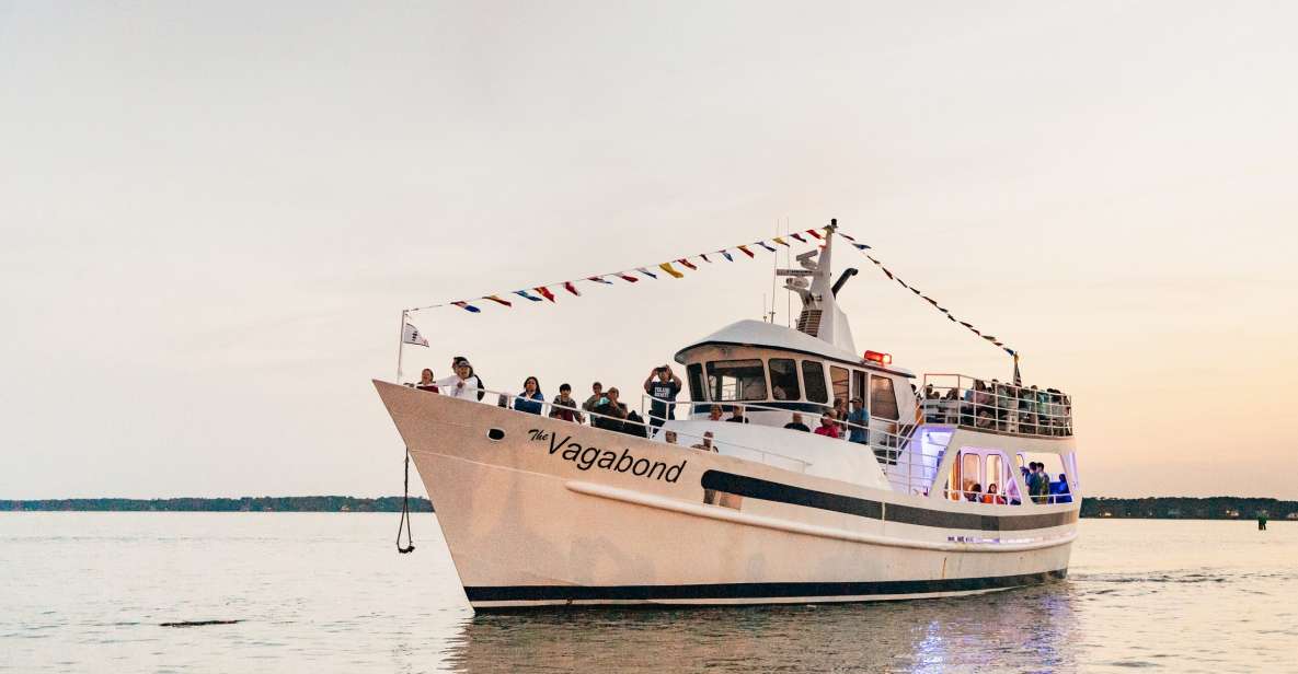 Hilton Head Island: Sunset Dolphin Cruise - Why This Tour Is a Great Choice