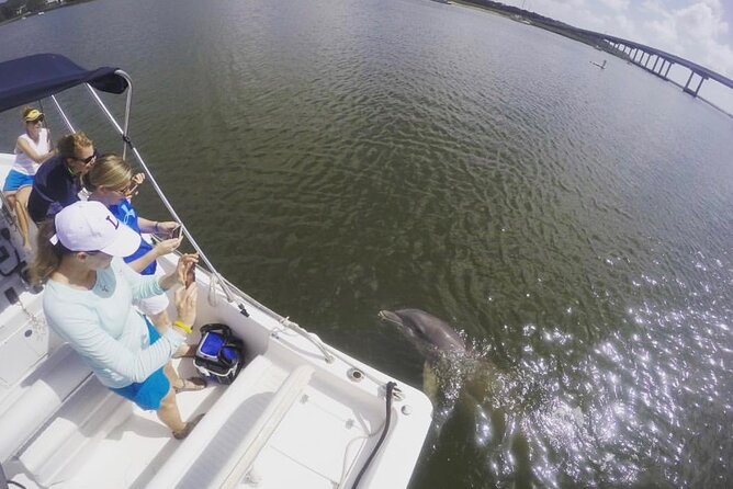 Hilton Head Island Sunset Dolphin Tour - Additional Resources