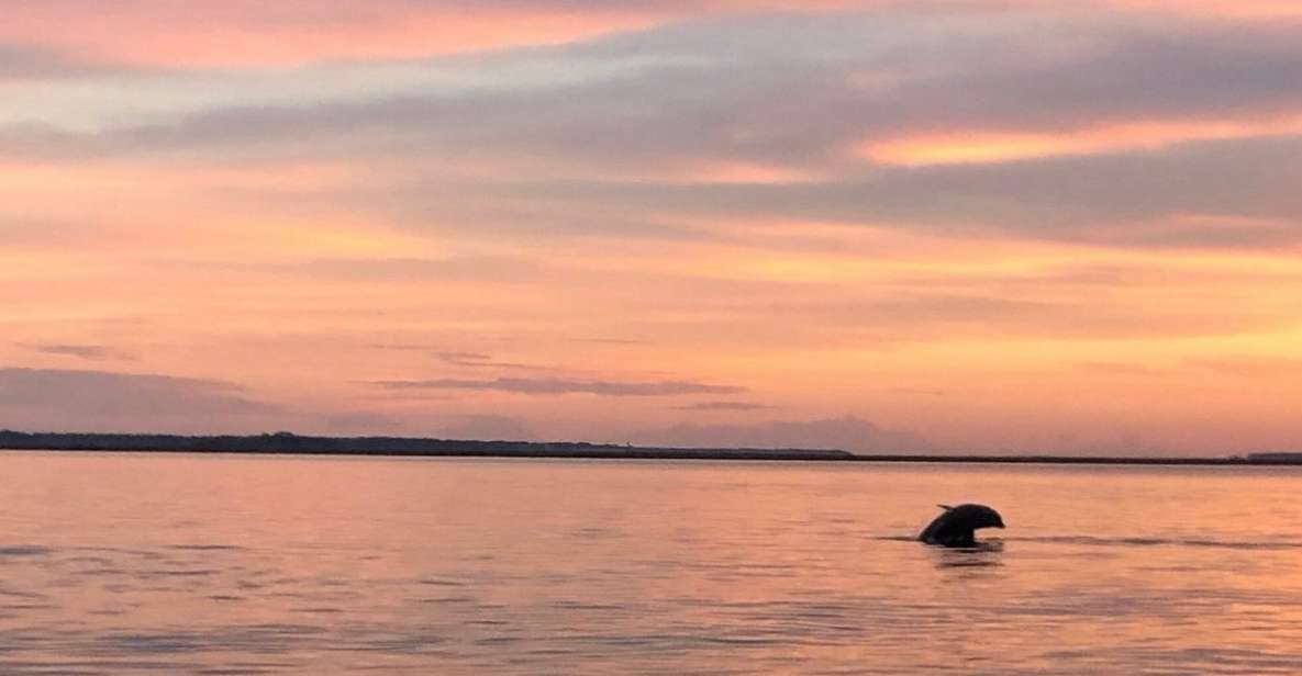 Hilton Head Island: Sunset Dolphin Watching Tour - Key Points