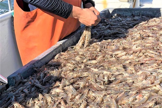 Hilton Head Shrimp Trawling Boat Cruise - FAQs