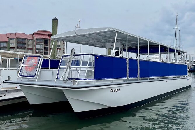 Hilton Head Sunrise Dolphin Tour - Key Points