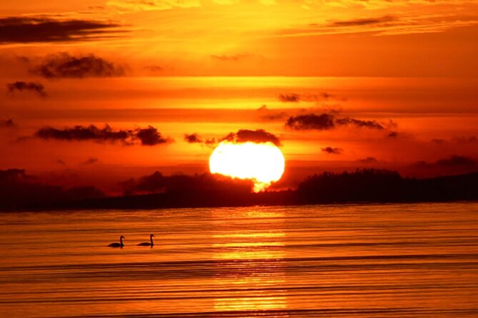 Hilton Head Sunrise Dolphin Tour - Who Is This Tour Best Suited For?