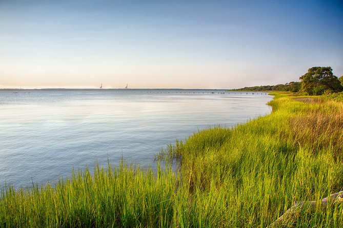Hilton Head to Daufuskie Island Round-Trip Ferry Ticket - The Itinerary in Detail: What You Can Expect