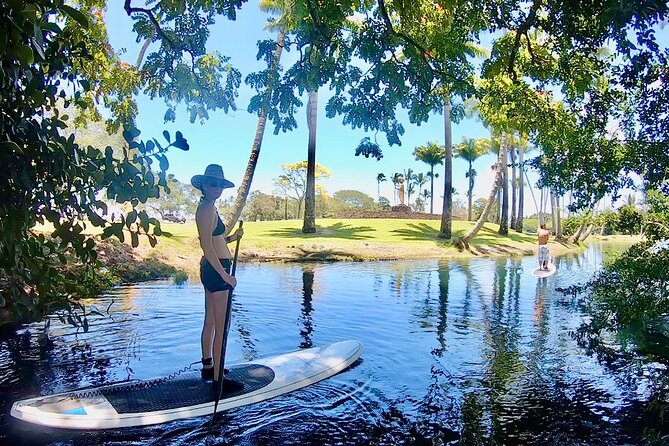 Historic Hilo Bay & Coconut Island SUP Adventure - Who Will Love This Experience?