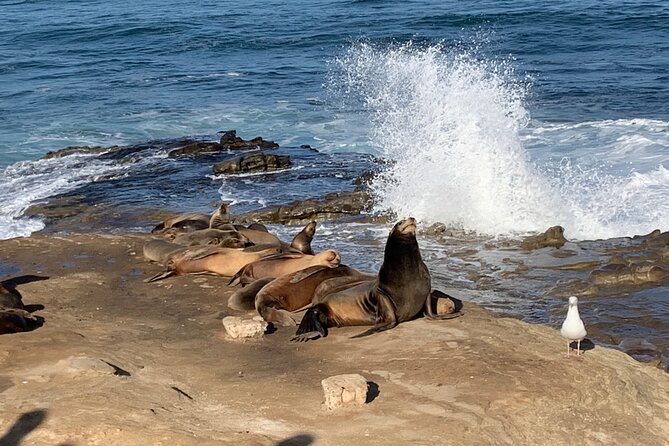 Historic La Jolla Walking Tour - Busy Intersection: Girard Avenue and Prospect Street