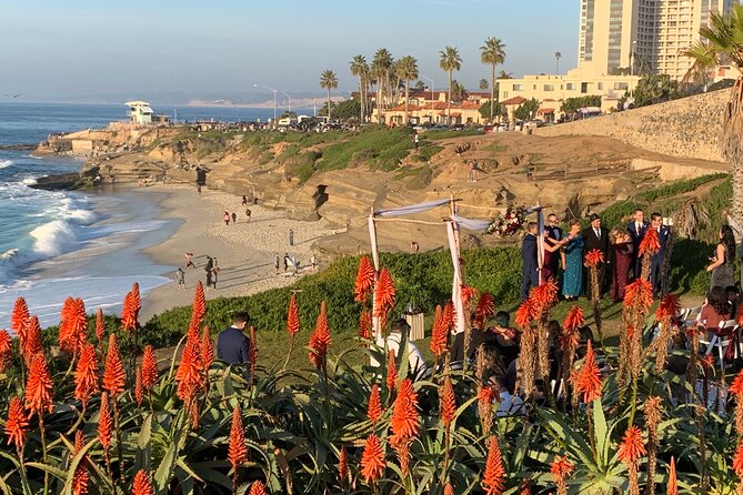 Historic La Jolla Walking Tour - La Jolla Cove: Sea Lions & Stunning Views
