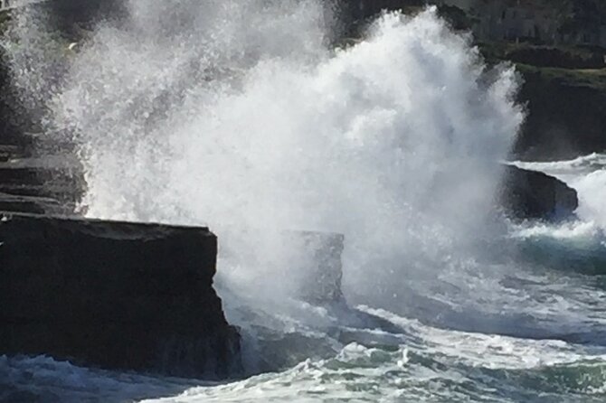 Historic La Jolla Walking Tour - Ellen Browning Scripps Park & Children’s Pool