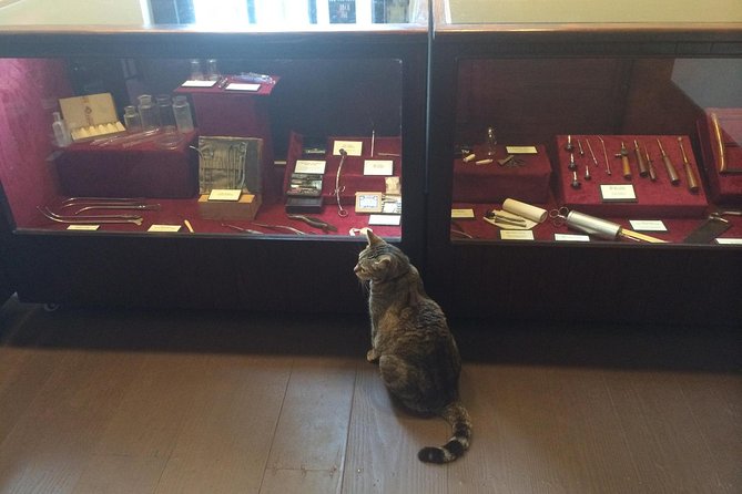 Historic Museum Tour Ticket - The Experience in Detail: Breaking Down the Itinerary