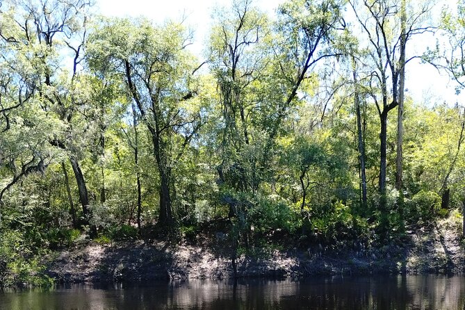 Historic Mystery Walking Tour in Florida - The Sum Up