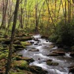 Historic River Town Ramble - FAQ