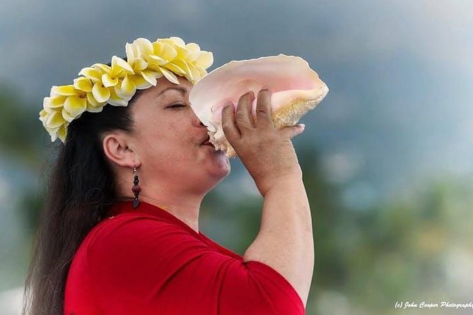 Historical Dinner Cruise to Kealakekua Bay - A Deep Dive into the Experience