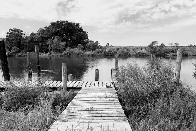 Historical Haunted Bayou Cruise - Setting the Scene: What the Tour Offers