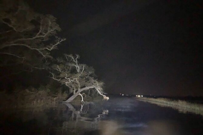 Historical Haunted Bayou Cruise - Who Will Love This Tour?